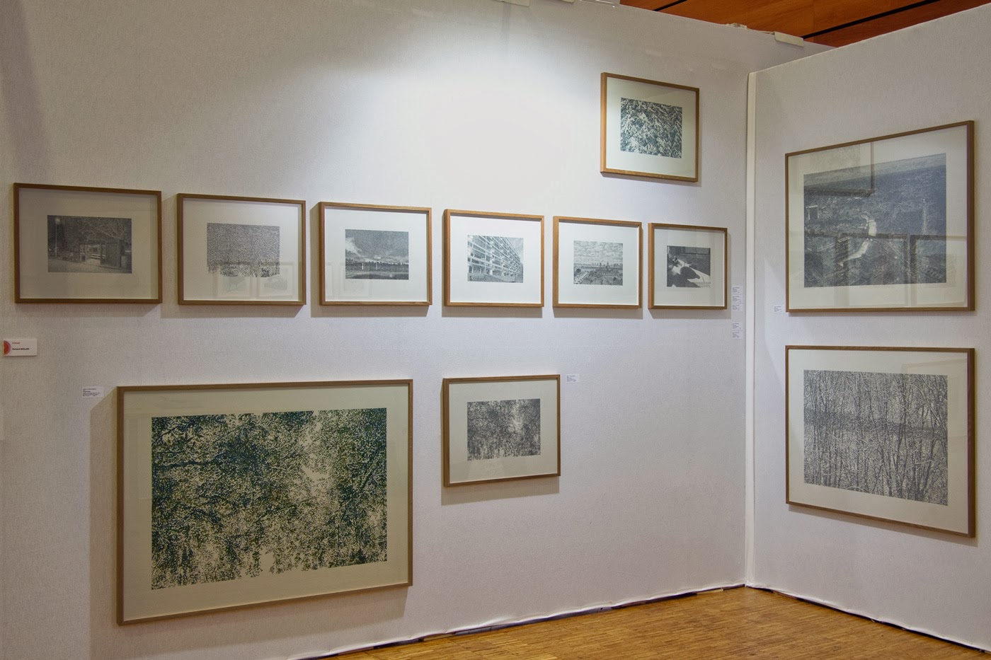 Richard Müller: Drawing Now Paris, 2013