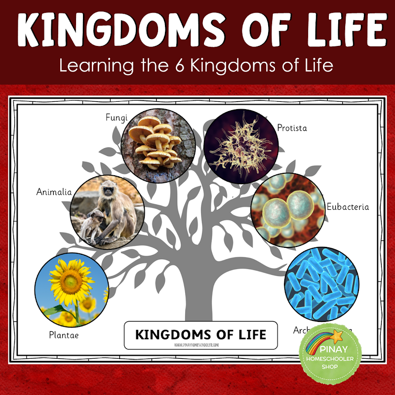 Introducing the 6 Kingdoms of Life | The Pinay Homeschooler