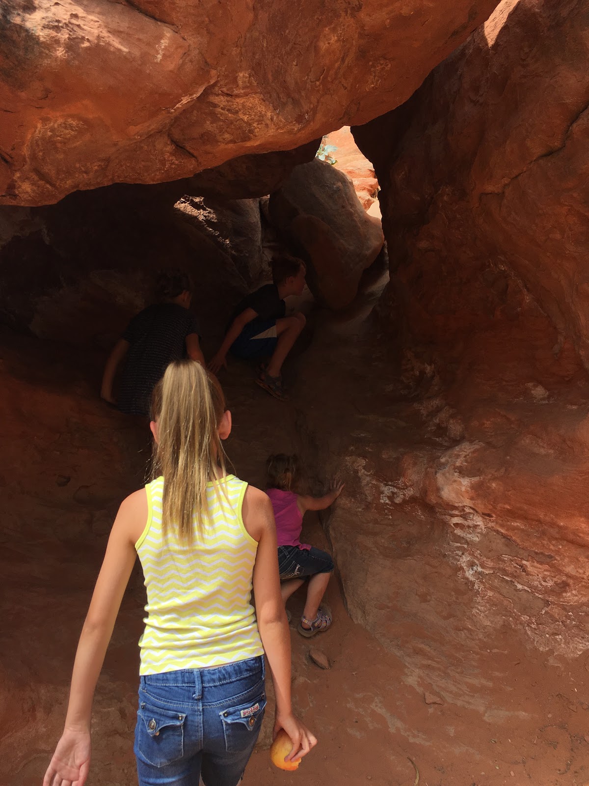 Red Cliffs National Conservation Area - Red Reef Trail