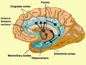 Dr Samuel Banda: Premio Nobel de Fisiología y Medicina 2014