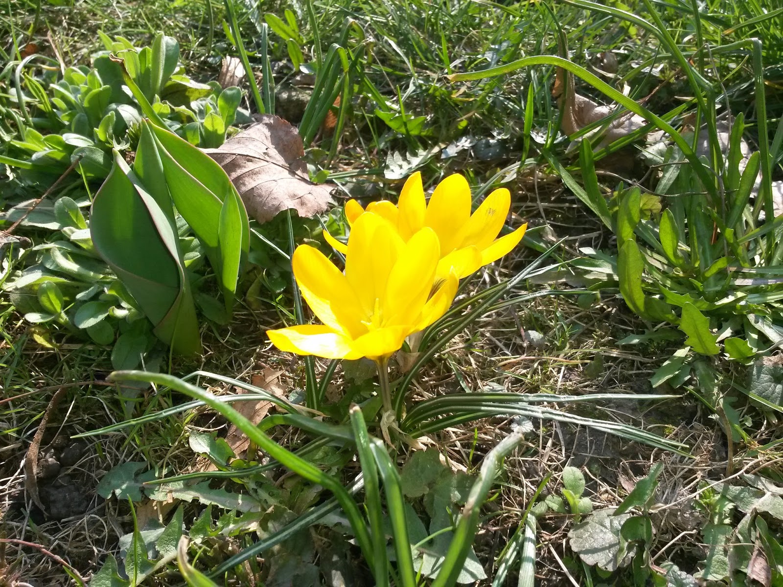 one silk way: Spring is coming - Wardrobe 1