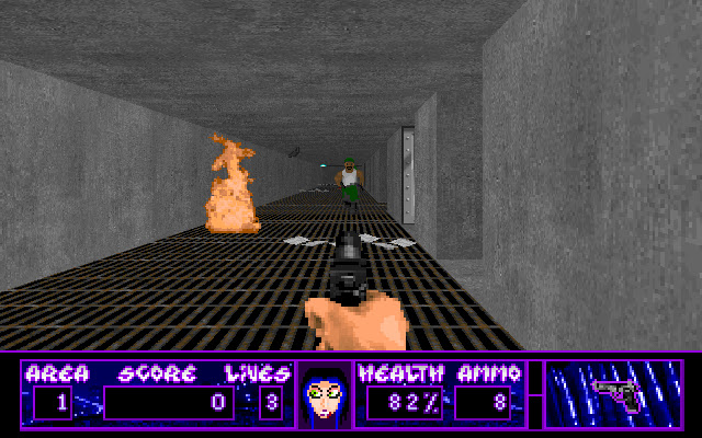 The Wolfenstein 3d Blog: Review: Federal Cases - Tara Carmichael