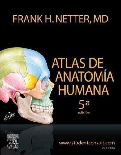 Anatomía Humana Netter 5 edición PDF Descargar
