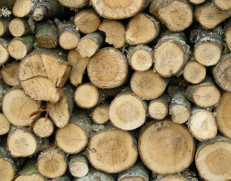 CREATIVE CLASSICS DESIGN: Wood Species and Their Traits: What WOOD You Use?