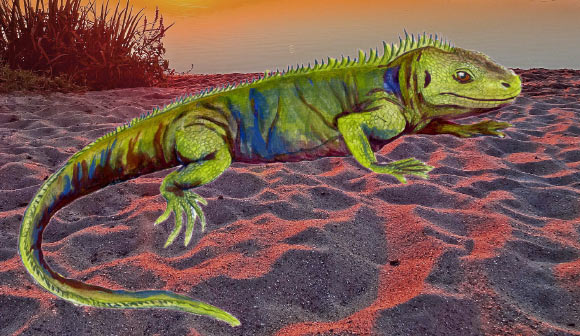 PALAEOBLOG: Clevosaurus sectumsemper, A New Triassic Lizard