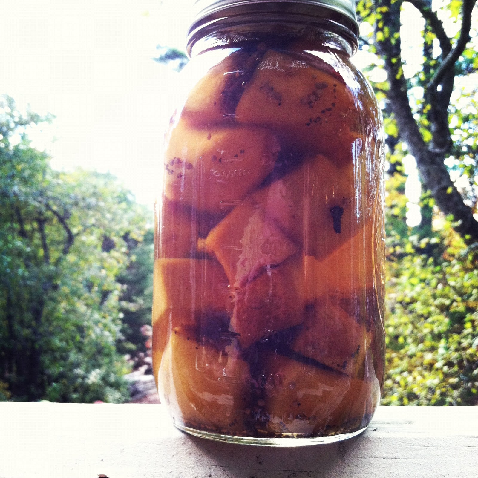 Sailor's Rest Farm: Pickled Pumpkin