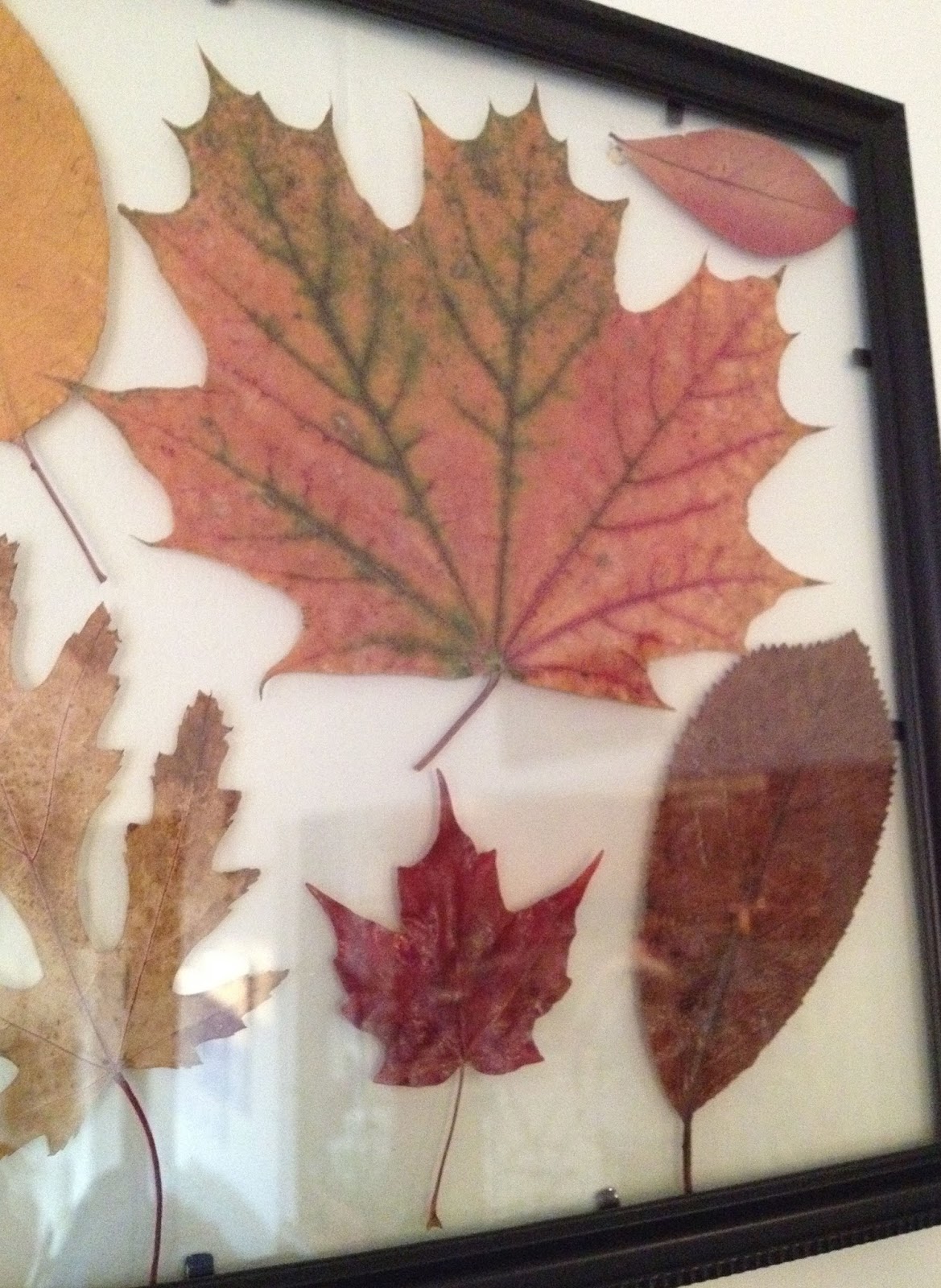 Susan Marie : Preserving & Framing Autumn Leaf Tutorial