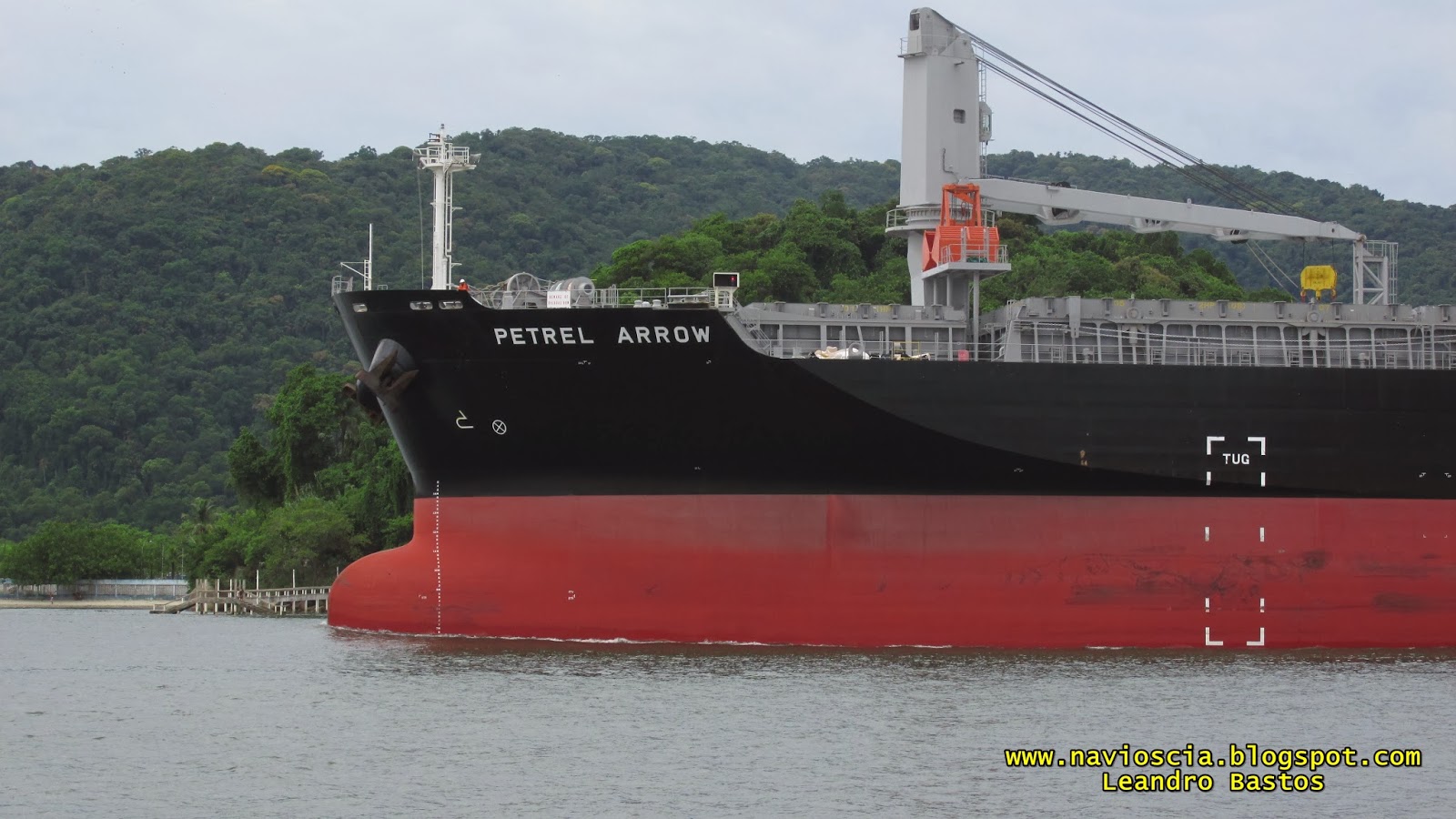 Navios de Santos & CIA: Navio PETREL ARROW