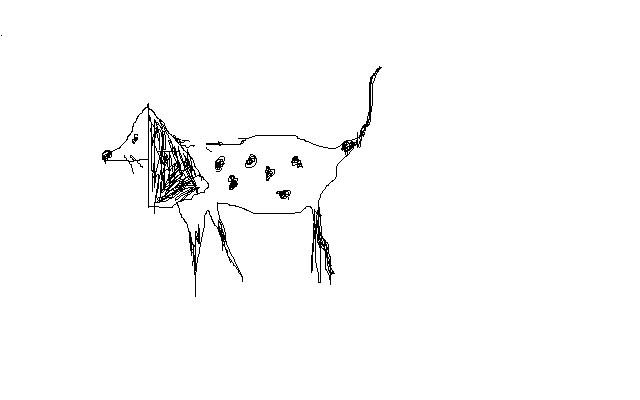 FIRST PICTURES OF KUPPY