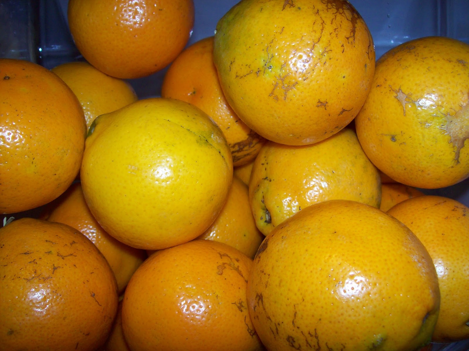 Tangelo Meringue Pie