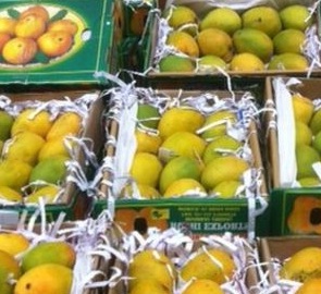 FOOD PACKAGING TECHNOLOGY: Packaging for mangoes