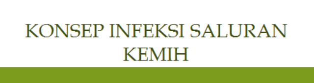 Konsep Dasar Infeksi Saluran Kemih (ISK) Lengkap