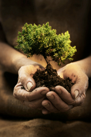 Family FECS: How to Teach Children Respect for Nature?