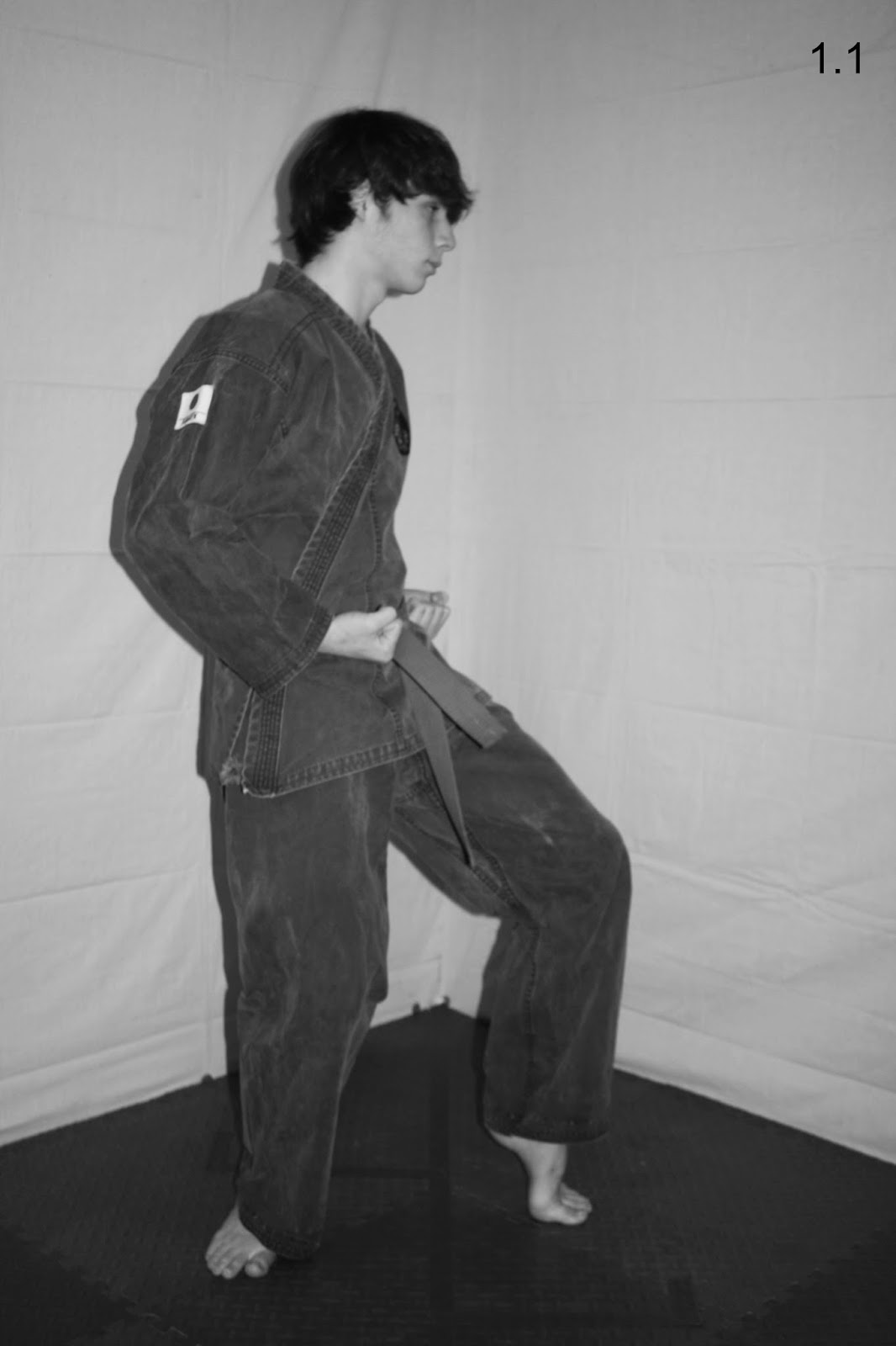 Righting Crime Fiction: A Writer's Guide to Fighting: The Ready Stance