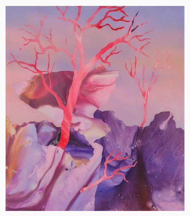 I need a guide: Kate Shaw # update