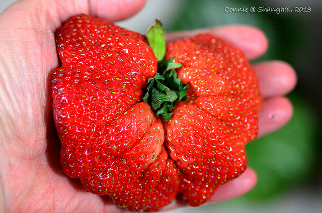 Deformutilation: Mutant Fruits