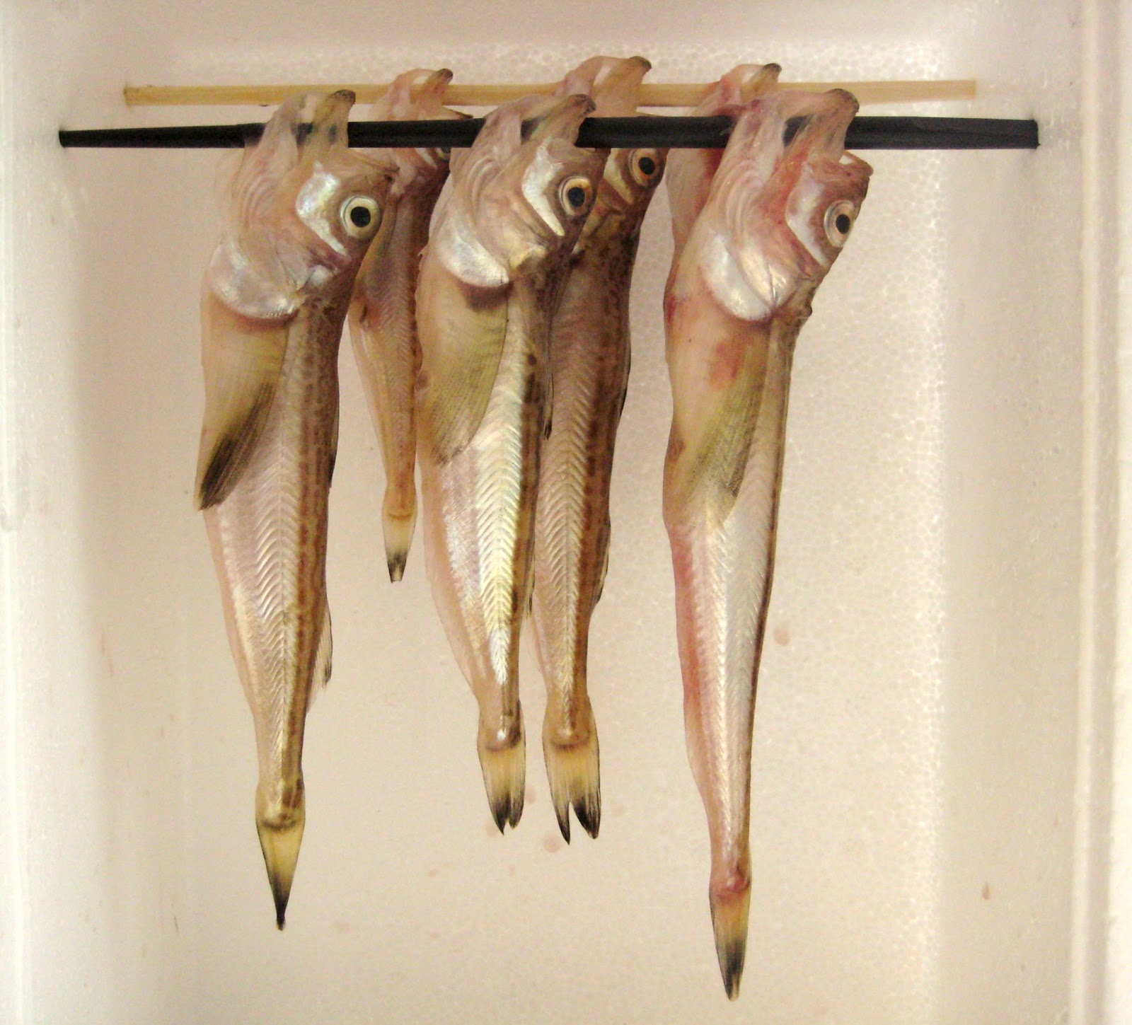 TOKYO COOKS: How to make dried fish in a Japanese style