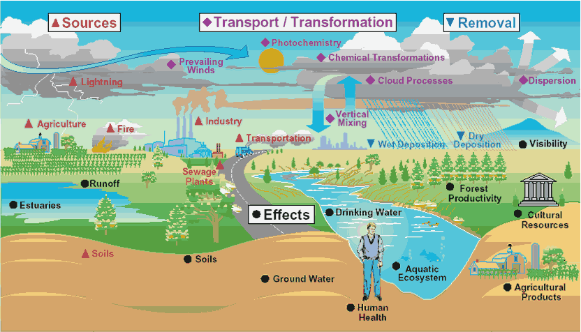 War Against Contamination: Air Pollution