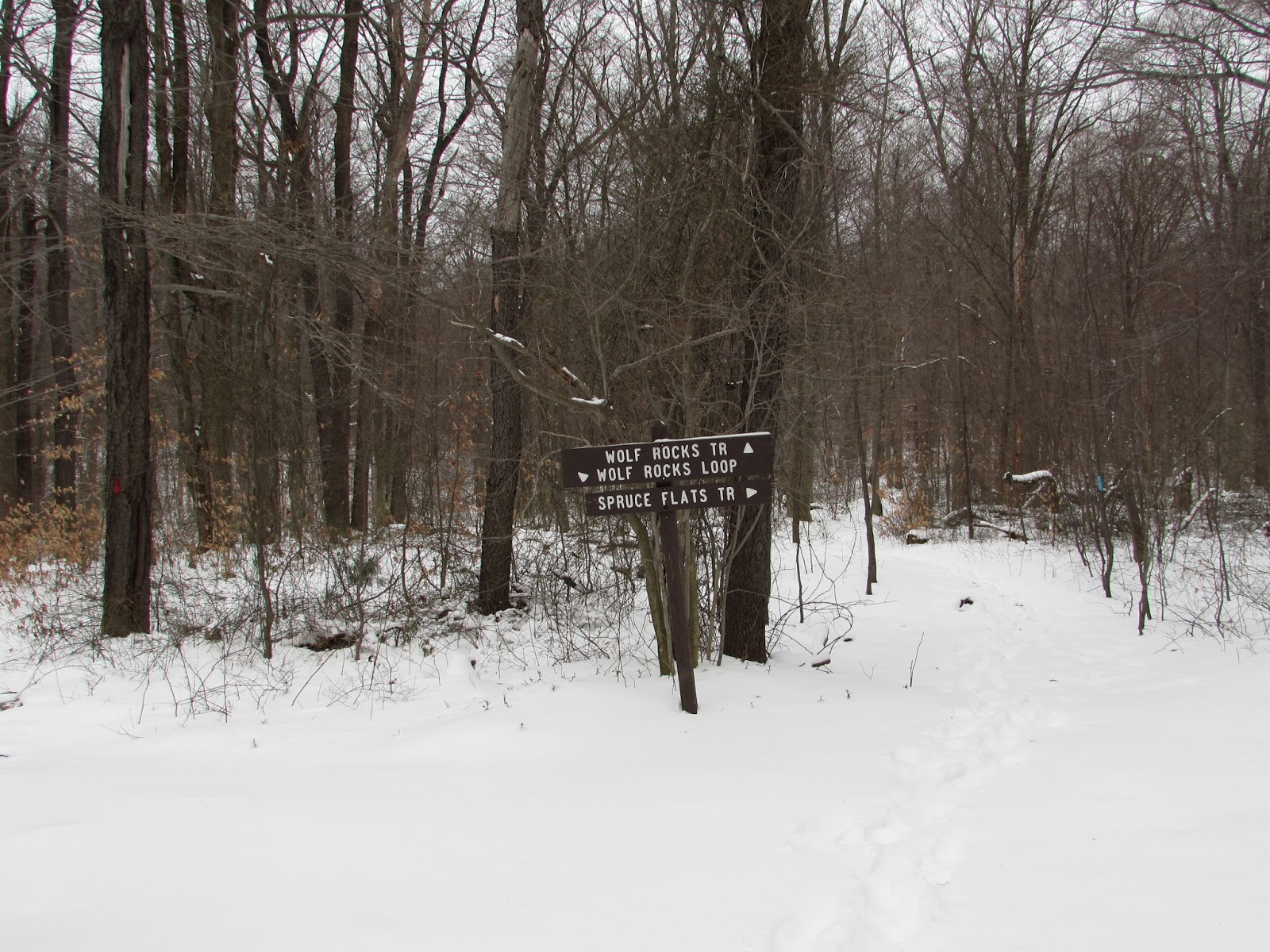 Wolf Rocks and Beam Rocks Overlook Hikes, Forbes State Forest, Somerset ...