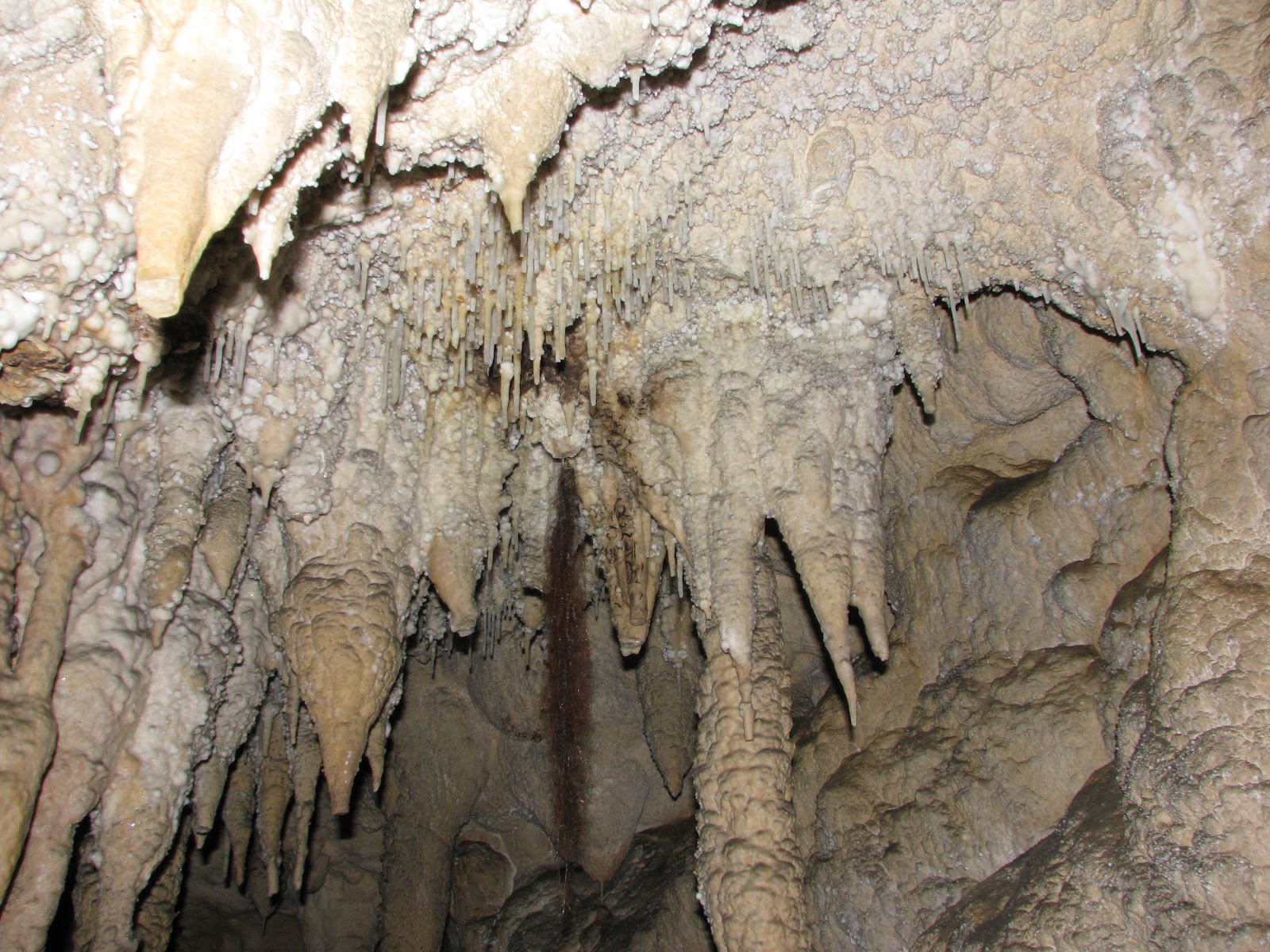 A lo bouzo: Cueva de Pando [Ribadesella]