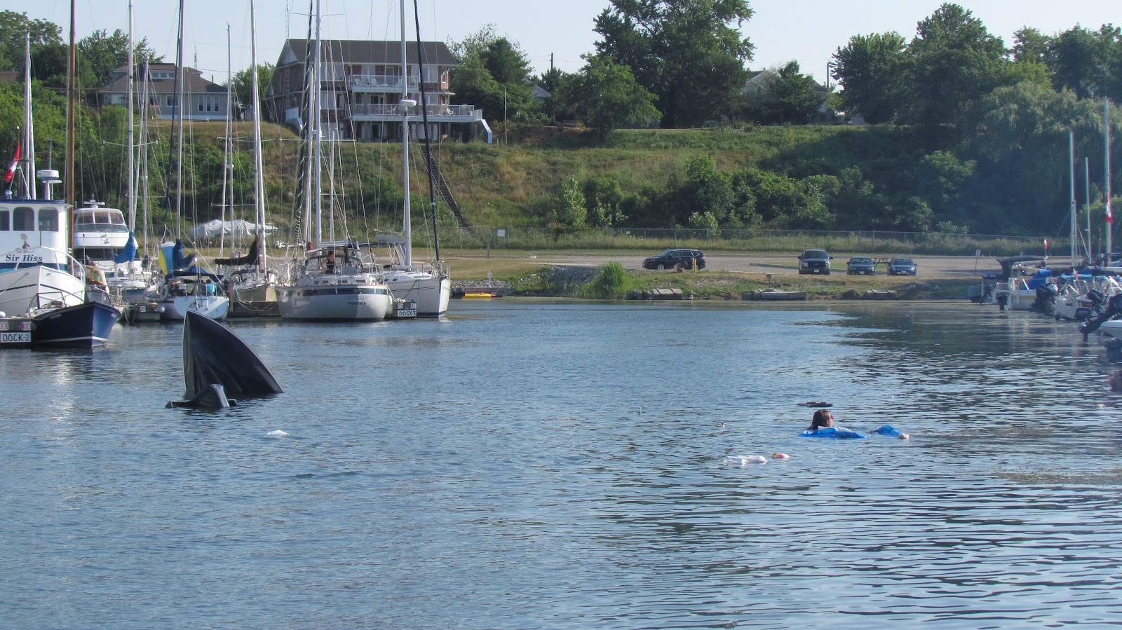 Dock Six Chronicles: Pottahawk 2012- First Casualty