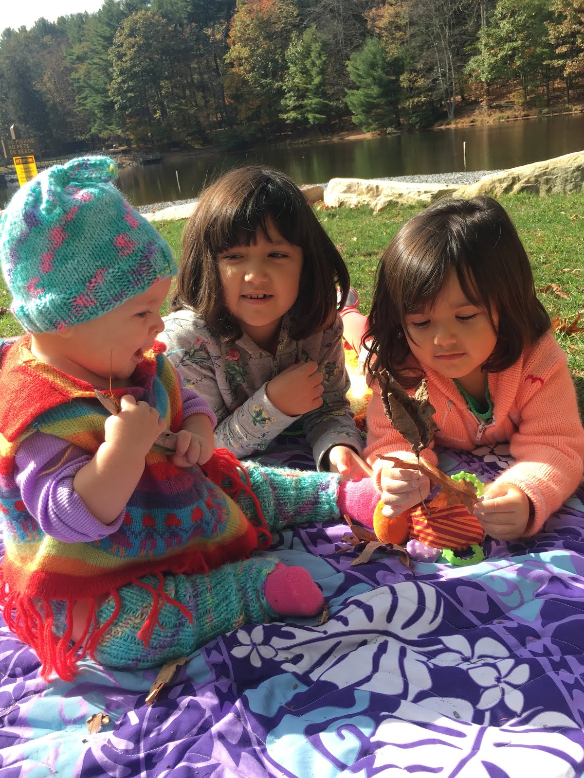 Forest Homeschool : My Cubs