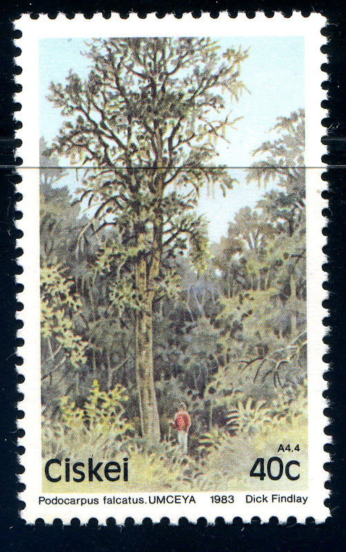 BIODIVERSIDAD FORESTAL: Biodiversidad Forestal (CISKEY)