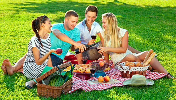 El Blog de la Dulzura: ¿Cómo organizar un día de picnic?