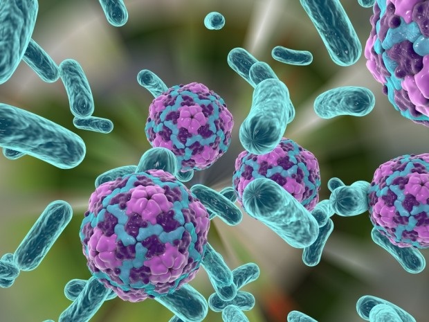 El Universo Bajo el Microscopio: La OMS anuncia las 12 familias de ...