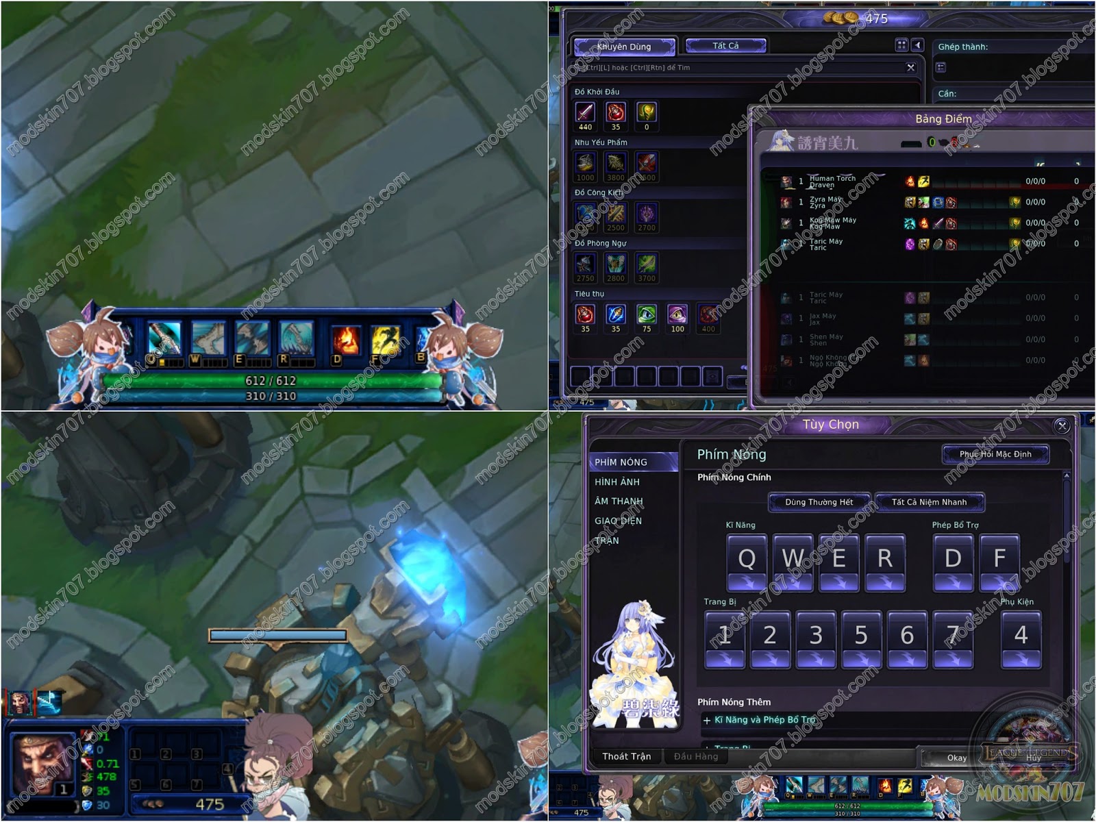 Mod Skin LOL Pro-Custom skins League Of Legends