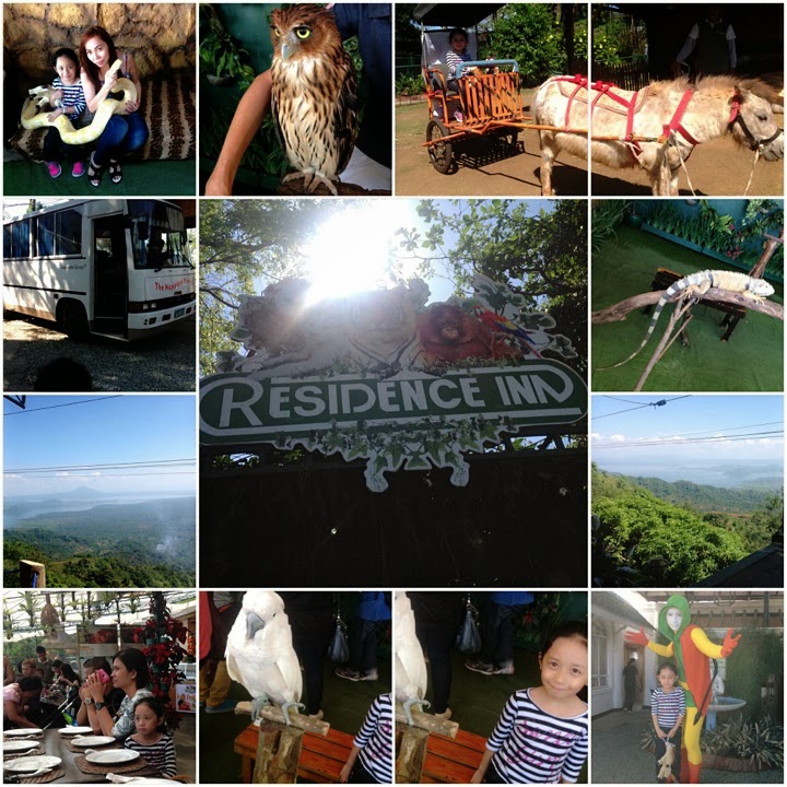 A Fun Farm Visit to Paradizoo and Residence Inn | Rockstarmomma