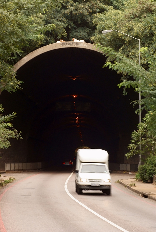 Photographer: The Goats Of Daspoort Tunnel.