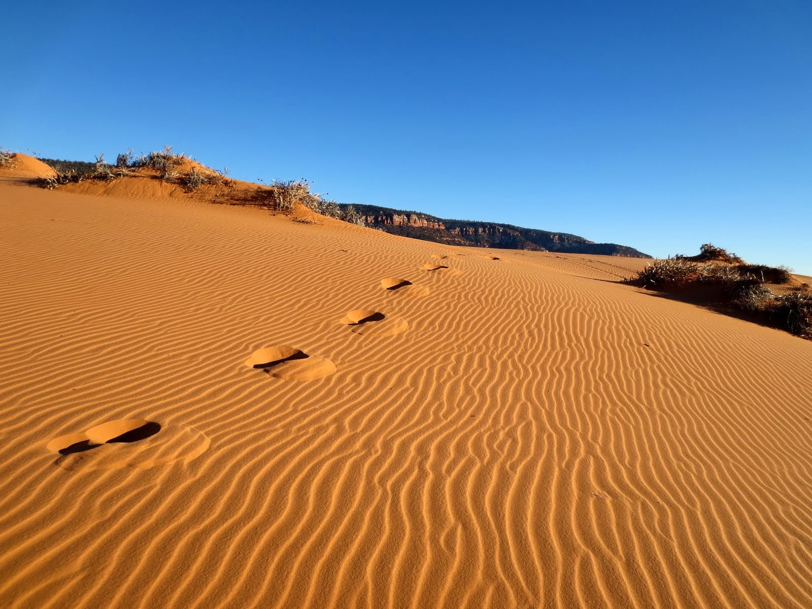 Journeys: Coral Pink Sand Dunes State Park, Zion and Bryce Canyon ...