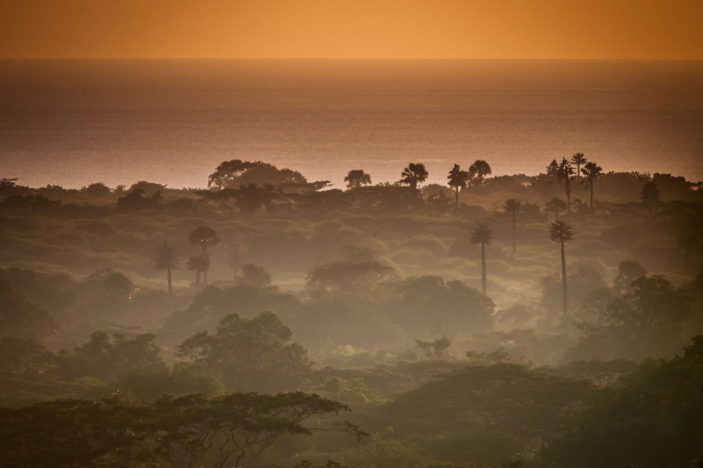 Taman Nasional Baluran, Keindahan Afrika Di Pulau Jawa | Travelling ...