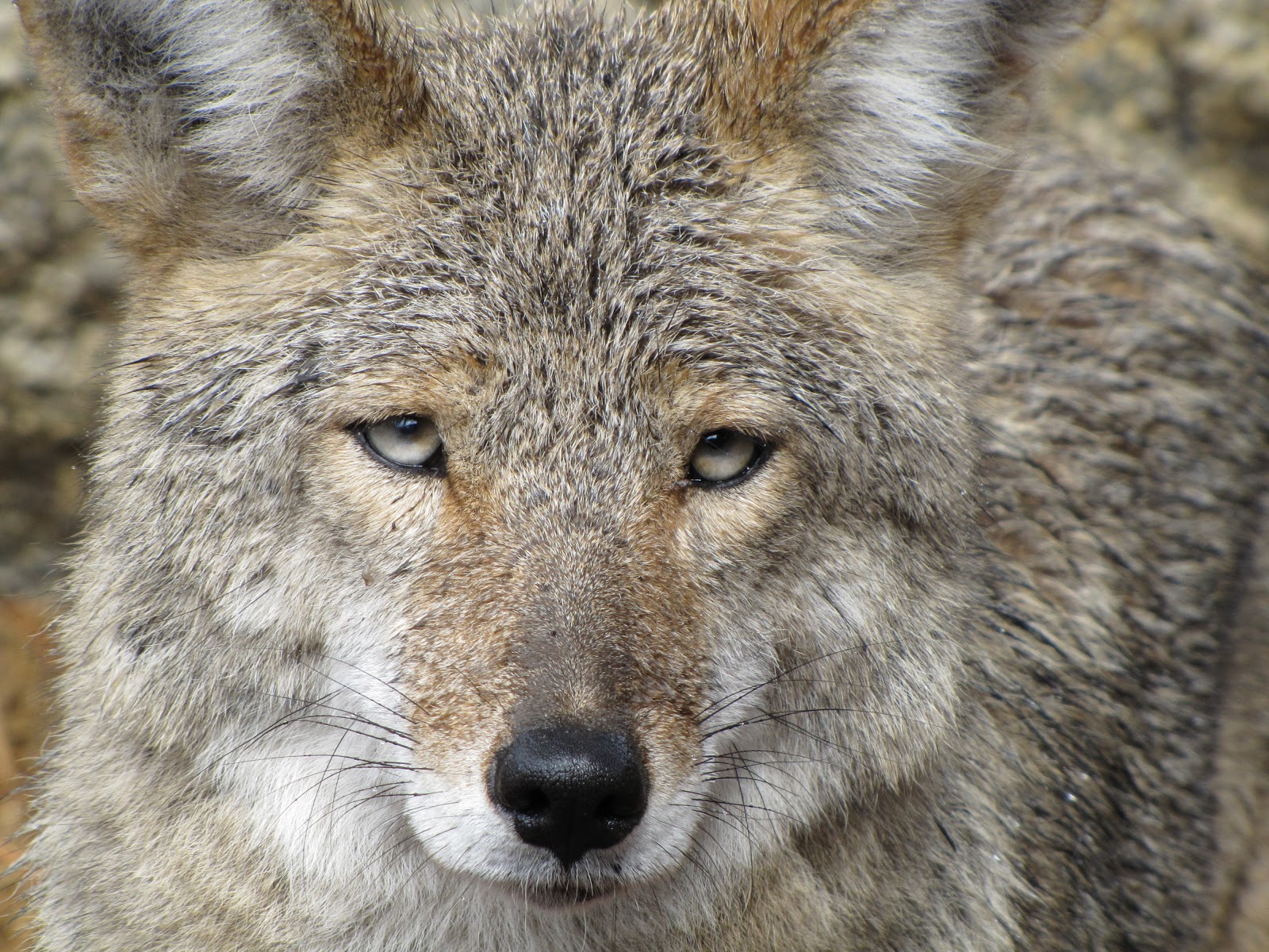 To Behold the Beauty: Changing Cameras