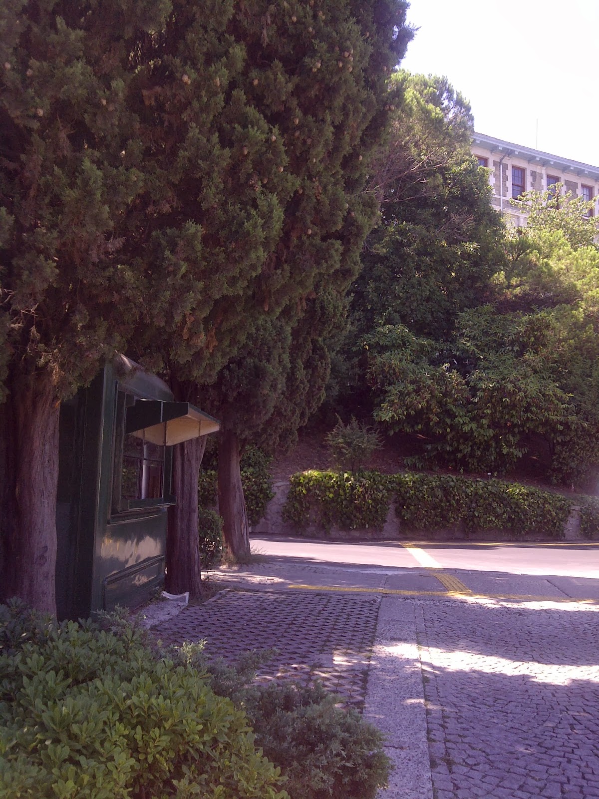 Bogazici University Campus