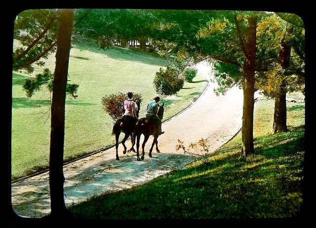 50 Rare Color Photographs Capture Everyday Life in Bermuda in the 1930s ...