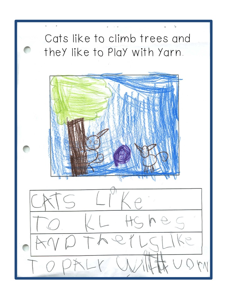 Joyful Learning In KC: Animal Research Writing