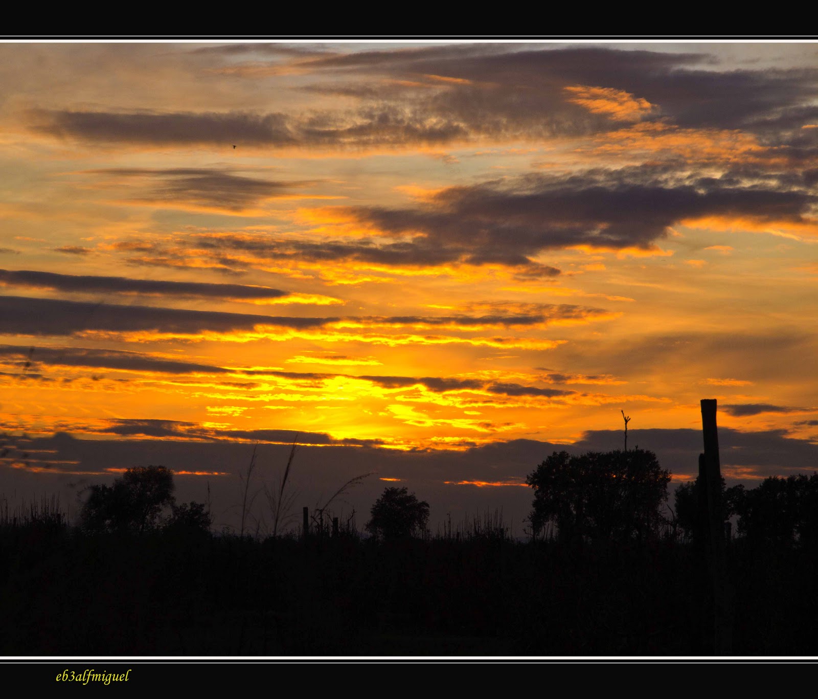 Miguel fotografia: Color del Atardecer