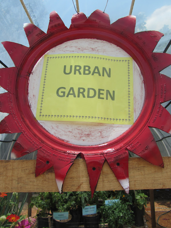 The Animals, The Rodeo, Plants and San Pedrano Sightings at the 2012 ...