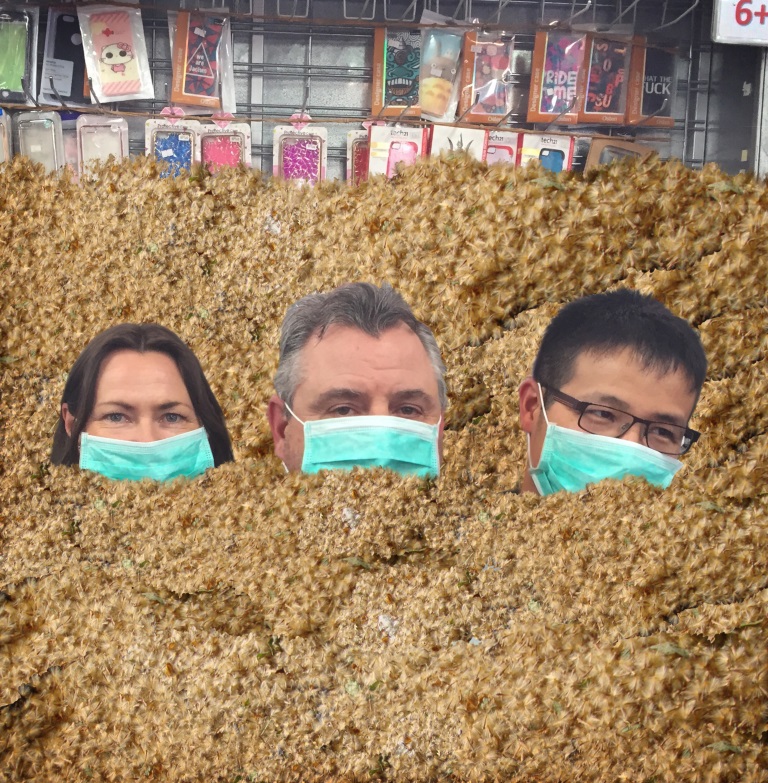 Victraders.com: Plane Trees Are A Real Problem