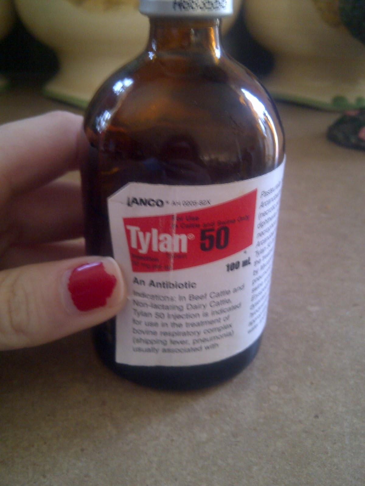 Keeping Chickens: Basic Poultry Medicine and Maintenance