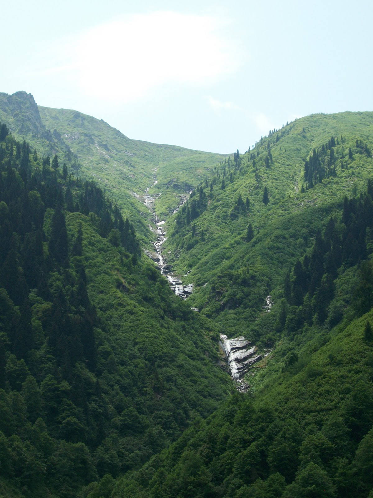 Kerim Yollarda: DOĞU KARADENİZ GEZİSİ - RİZE YAYLALARI (AYDER VE YUKARI ...