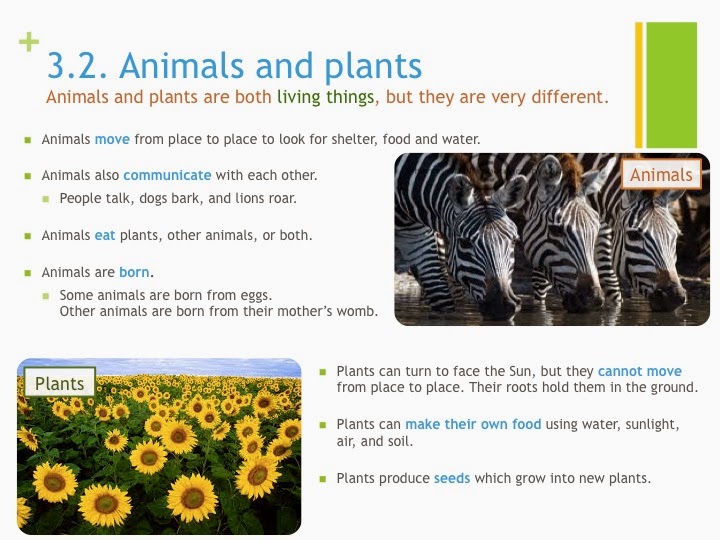Tic Tac Science: Year 3. Unit 3. Living things: Animals and plants