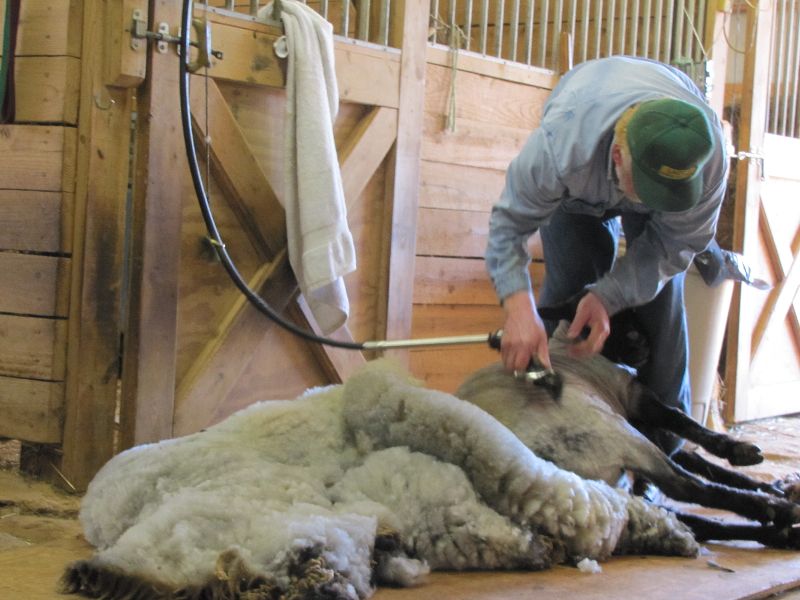 COMPOSE: When NOT To Compose