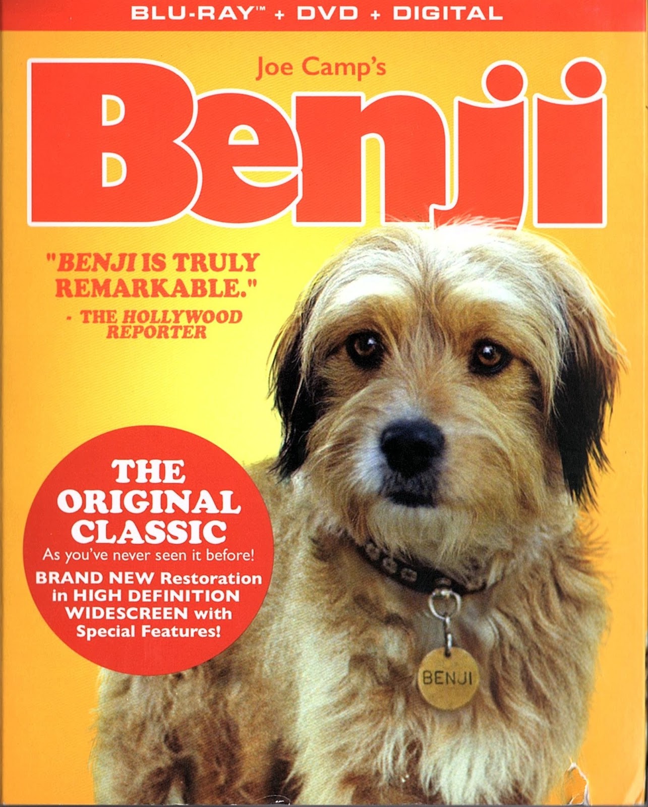 Can We Keep Him? Benji (Mill Creek Entertainment) Blu-ray Review ...