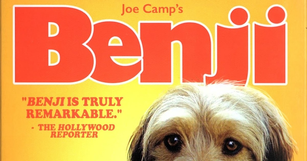 Can We Keep Him? Benji (Mill Creek Entertainment) Blu-ray Review ...