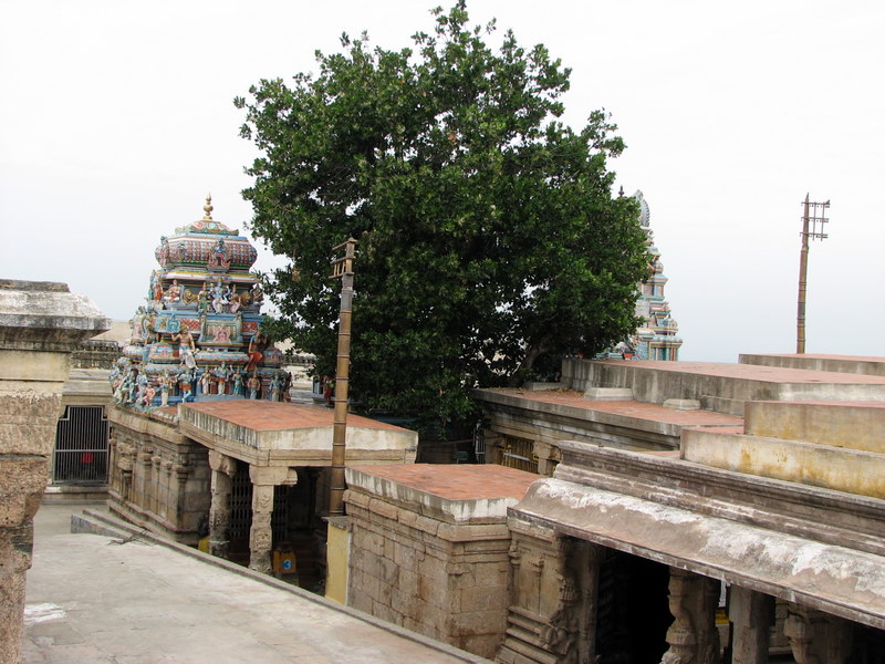Ramblings and Musings: Tiruchengode Ardhanareeswarar Temple