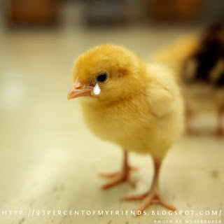 93 Percent of my friends won't repost this...