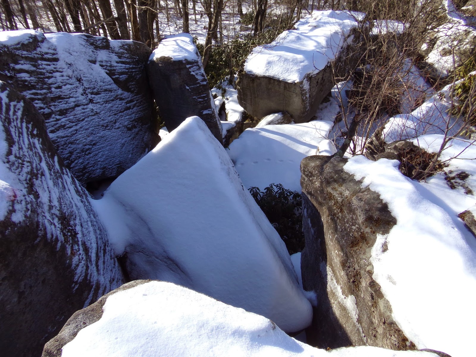 Mt. Davis: Tallest Mountain in Pennsylvania, Somerset County ...